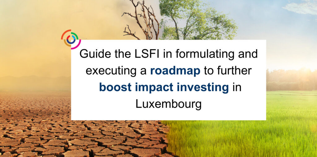 Impact Investing Advisory Board - LSFI