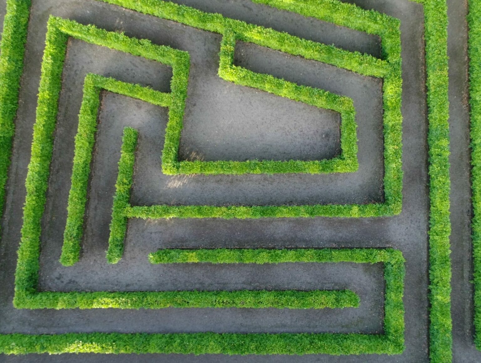 About us - New - LSFI